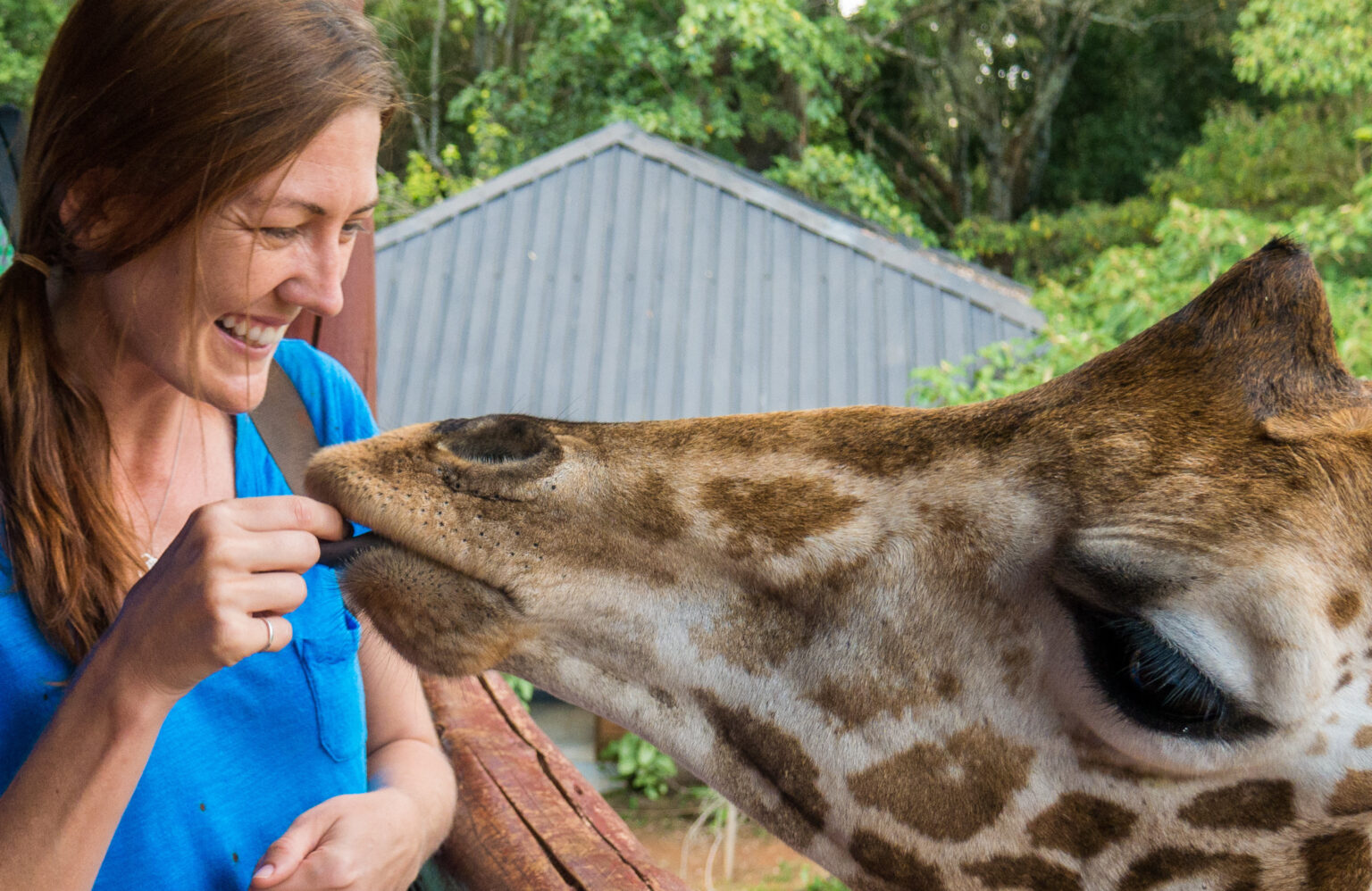 7 Things to Do in Milna on Brač Island (2025)